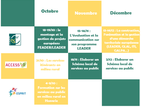 Formation – Leader France