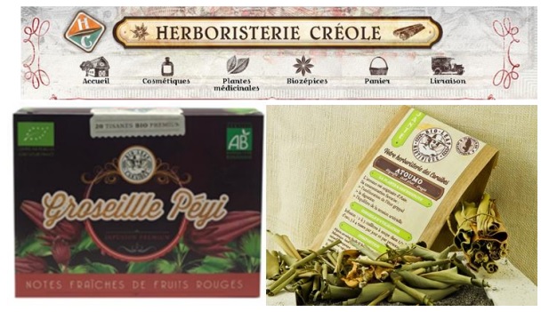 Création d'une gamme de tisanes de plantes médicinales créoles zéro ...