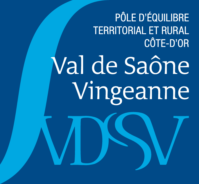 logo-vdsv-bureautique – Leader France